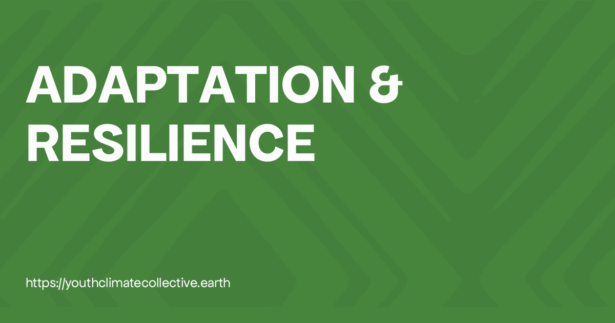 Adaptation & Resilience | Youth Climate Collective